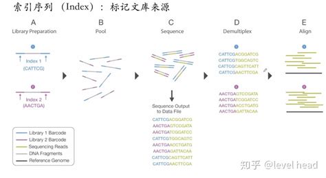 第二代测序技术 知乎