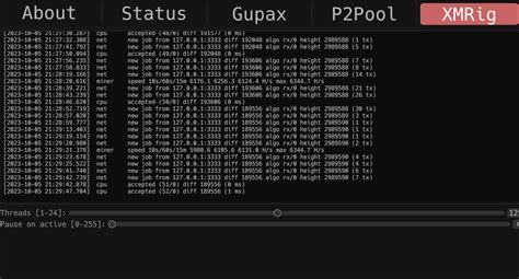 Mining How Long Should I Wait Until I See Some Xmr Mined With Gupax