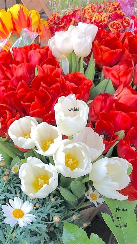 ไอเดีย การ์ดกระดาษ 36 รายการ การ์ดกระดาษ ดอกไม้ ดอกไม้สวย