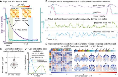 Cortex Wide Neural Dynamics Predict Behavioral States And Provide A Neural Basis For Resting