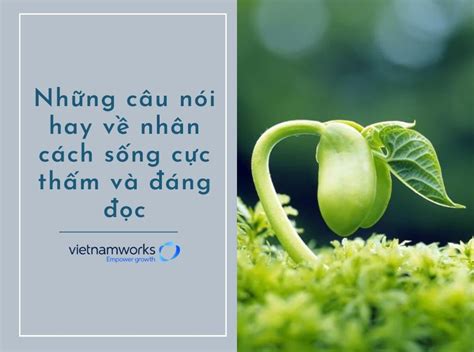 100 Những Câu Nói Hay Về Cuộc Sống Giúp Tâm Trạng Tốt Hơn