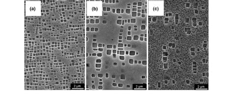 Scanning Electron Micrographs Of Stal 15 With Different First Aging Download Scientific Diagram