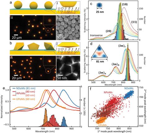 Dark‐field Df Characterization Of Nanoparticle‐on‐mirror Npom And