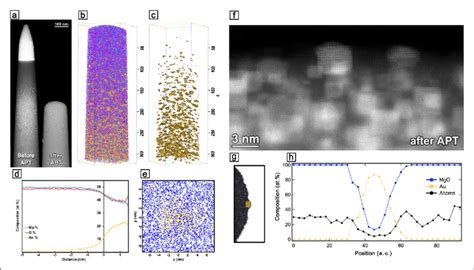 Correlative Scanning Transmission Electron Microscopy Atom Probe