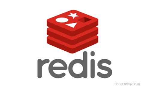 Redis和springboot整合 Csdn博客