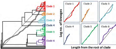 Plot Of The Lineage Through Time Ltt Analysis Of Lithocarpus Using Download Scientific
