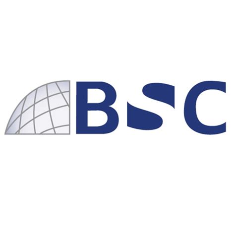 Bsc By Dow Group Fz Llc