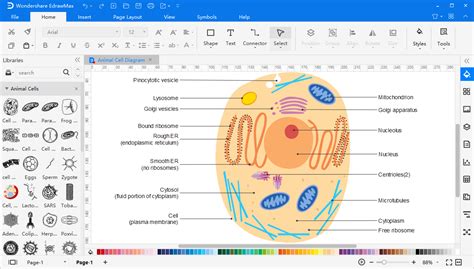 Sciencedraw Create Science Diagram Easily