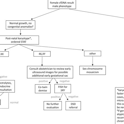 Recommended Clinical Evaluation When Cfdna Predicts Male Fetal Sex And