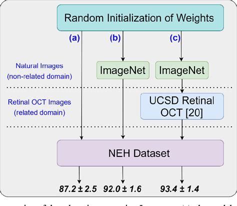 Figure 3 From Multi Scale Convolutional Neural Network For Automated Amd Classification Using