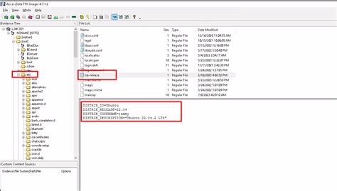 Letsdefend Linux Disk Forensics Sibasec