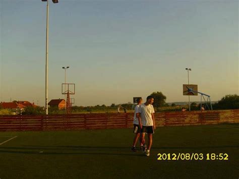 Дневна доза школског дворишта