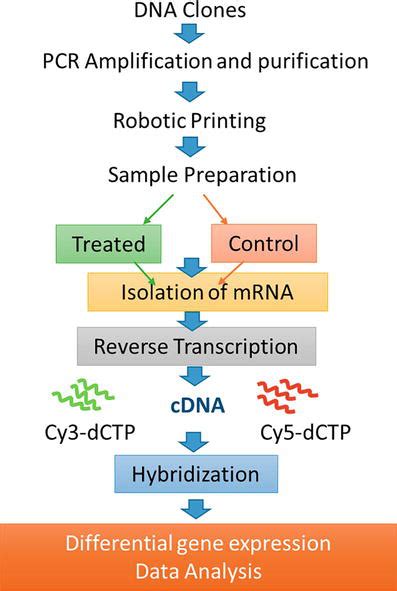Gene Expression And Transcriptome Sequencing Basics Analysis Advances Intechopen