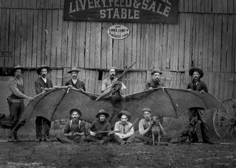 Happened On April FreeOnes Forum The Free Sex Community