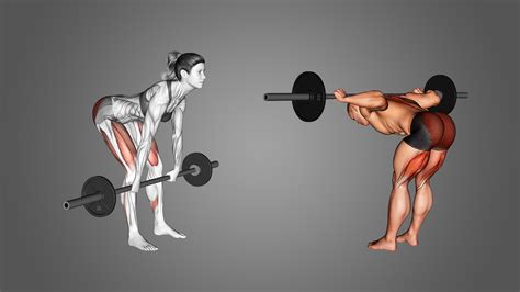 Good Morning Vs Romanian Deadlift Rdl Whats The Difference Inspire Us