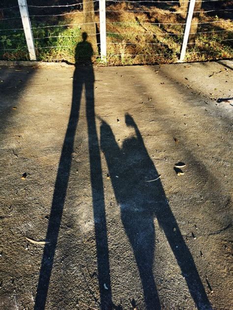 About Acsa Health And Wellness Programs Acsa Health Solutions Inc