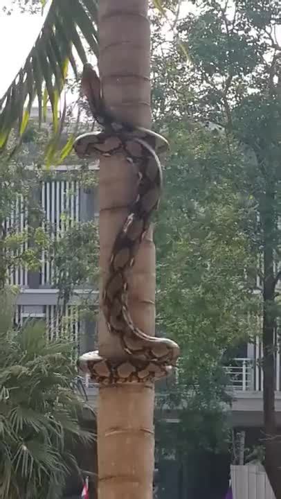 Danie Opperman Posted On Linkedin