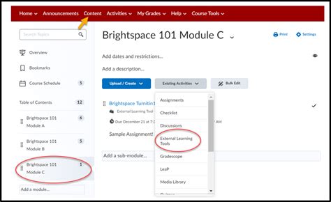 Using The Usc Libraries Ares Course Reserves System Usc Brightspace Help