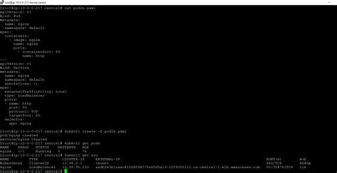 Kubernetes Integration Using AWS Cloud Provider