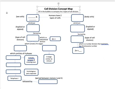 Solved Cell Division Concept Map Fill In The Bubbles To