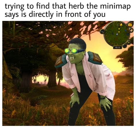Herbalists With Graphics Settings On 10 Classicwow