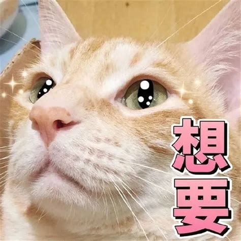 榨精飞儿feier On Twitter 众所周知，男孩子鸡鸡硬的时候是没办法认真学习的，所以请同学们不要害羞，把鸡巴发出来，让飞儿老师检查一下哦～