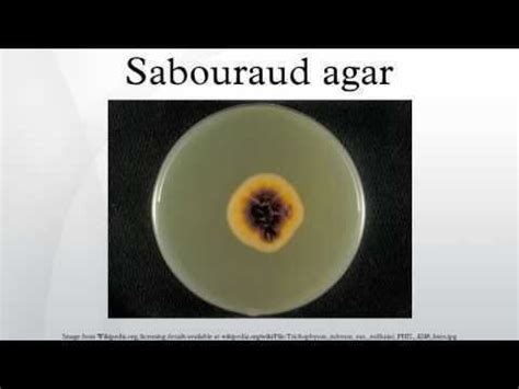 Sabouraud Agar Alchetron The Free Social Encyclopedia