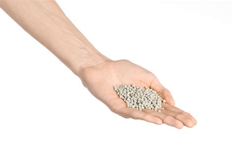 향신료와 요리 테마 남자의 손을 잡고 흰 후추 스튜디오에서 흰색 배경에 고립의 무리 건조한에 대한 스톡 사진 및 기타 이미지 건조한 다진 피클 드레싱 식품 Istock