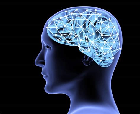 Beyond Gigabytes Can We Measure The Brains Memory Capacity Icy Whiz