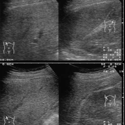 Textures Used For Classification Algorithms Download Scientific Diagram