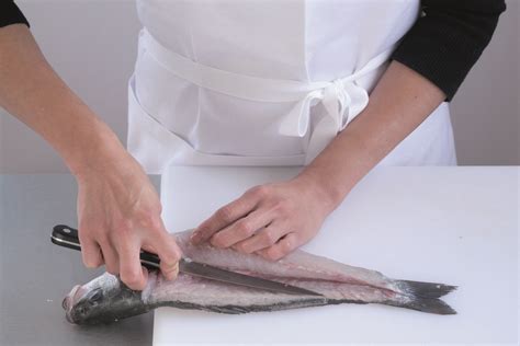 How To Fillet A Round Fish Leiths Education
