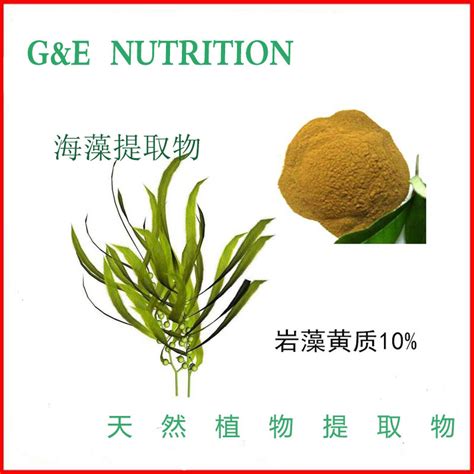 岩藻 岩藻多糖 盐藻的效与作用 大山谷图库