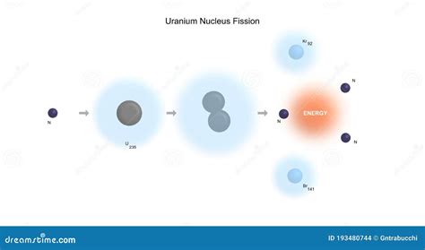 Uranium 235 Nuclear Fission Reaction Schematic Illustration Stock