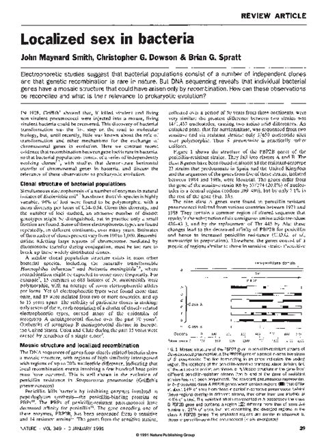 Pdf Localized Sex In Bacteria