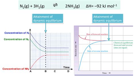 Equilibria Graph Secondary Science 4 All