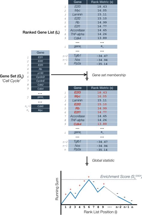Gene Set Enrichment Analysis · Pathway Guide