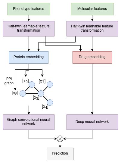 Full Dti Prediction Model Based On The Pretrained Learnable Feature Download Scientific Diagram