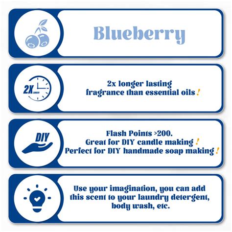 Blueberry Fragrance Oil Perfect For Diy Projects Hiqili Official Store