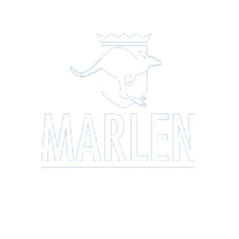 Ostomy Reversal Surgery 2026 Full Guide To Recovery And Eligibility