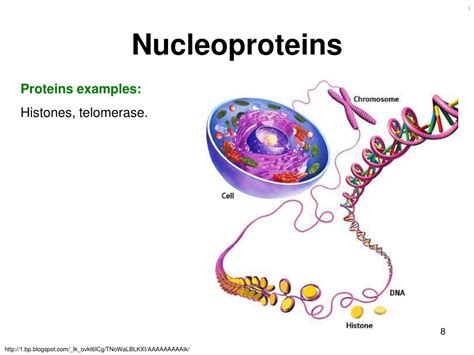 Ppt Structure And Classification Of Proteins Powerpoint Presentation Id 1936435