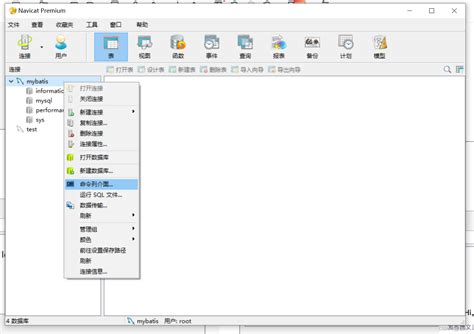 Mybatis 实验报告1mybatis的快速入门实验报告 Csdn博客 Mybatis 实验报告1mybatis的快速入门实验报告 Csdn博客