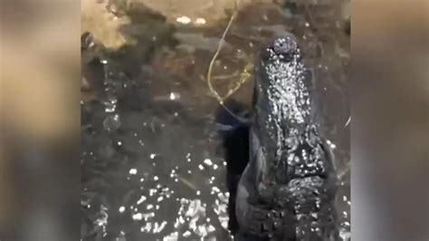 Belgien Babe Wird Nach Vergewaltigung Nicht Bestraft Weil Er Ein Begabter Junger Mann Ist