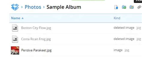 Tutorial How To Permanently Delete A File In Dropbox The Tech Journal