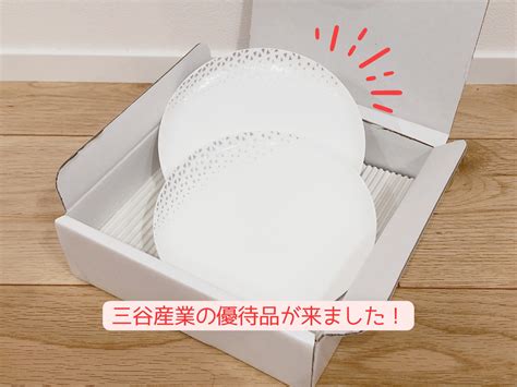 【高級皿】三谷産業の株主優待が到着しての感想｜ステキなお皿がもらえて大歓喜