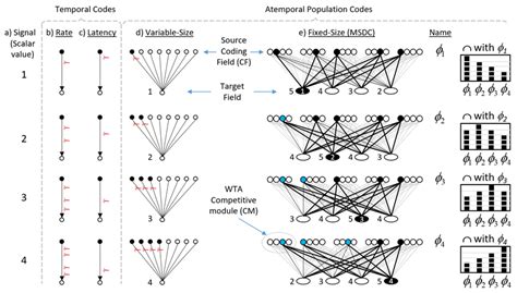 Temporal Vs Non Temporal Spike Coding Concepts Download Scientific