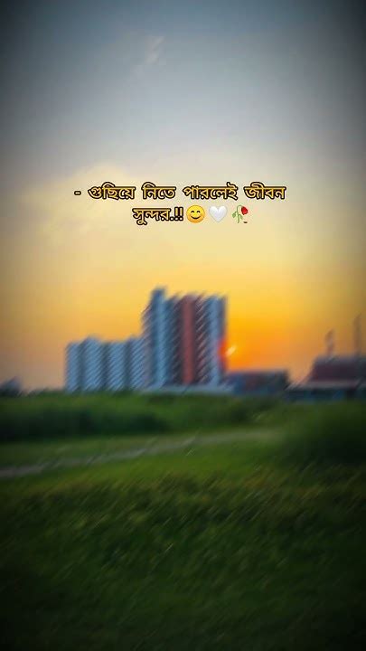 গুছিয়ে নিতে পারলেই জীবন সুন্দর 😊🤍🥀 Beauty Of Bangladesh Sadstatus Unfrezzmyaccount Youtube