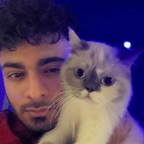 Camera App Bug Apple Community