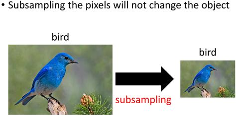 Lecture 3 Convolutional Neural Network Cnn什么叫共享参数的神经元 Csdn博客