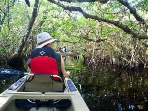 Florida Rondreis Met Alligators En Manatees Reisboulevard