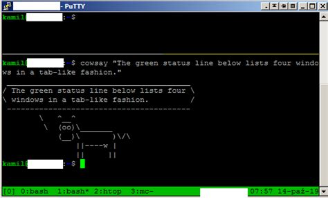 Linux How Can I Open Multiple Terminals Tabs From One Remote Ssh Such